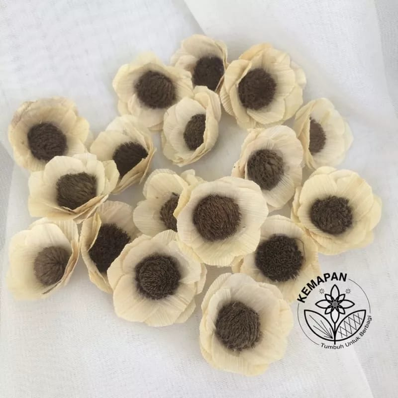 Jual Bunga Klobot Jagung Kering Hiasan Rustic Dekorasi Mahar Pernikahan