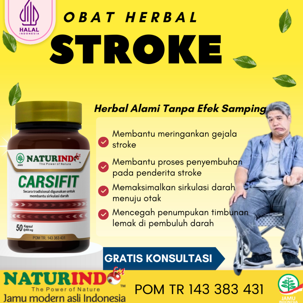 Jual Obat Stroke Struk Herbal Bells Palsy Ringan Jamu Penyumbatan ...