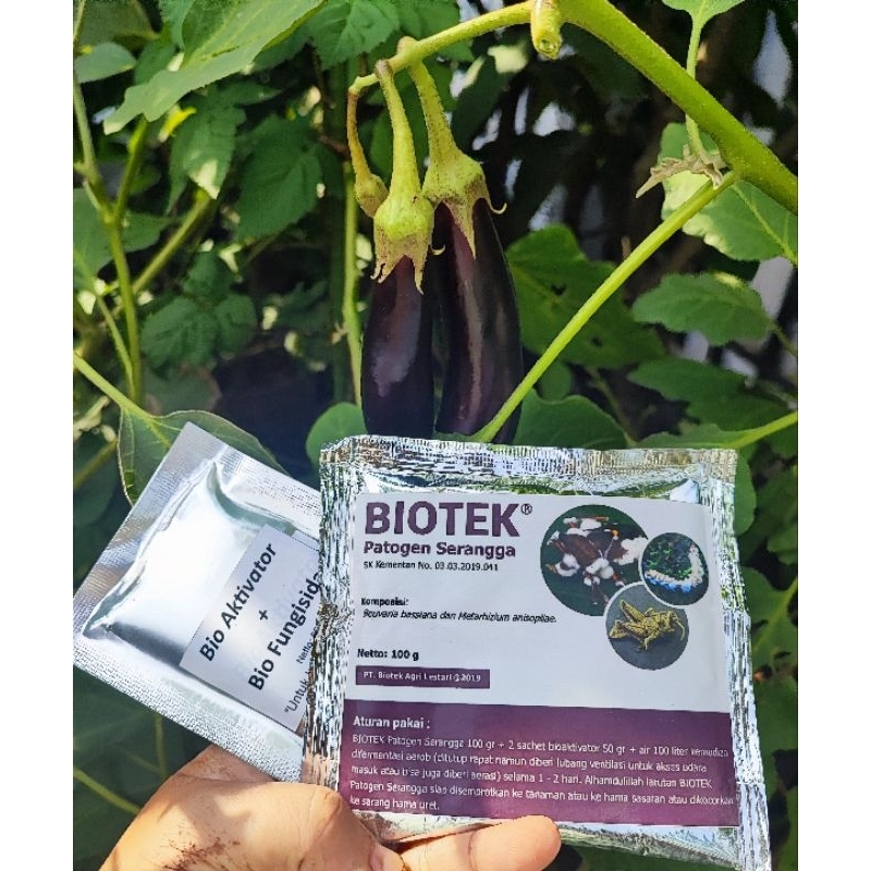 Jual pestisida dan insektisida organik / biopestisida bioinsektisida ...
