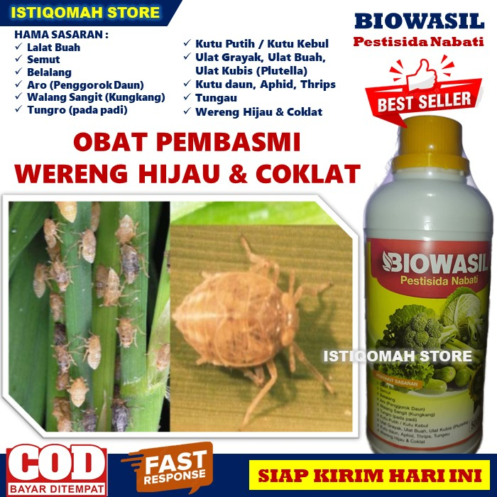 Jual Obat Semprot Ampuh Pembasmi Hama Wereng Coklat dan Hijau Pada ...