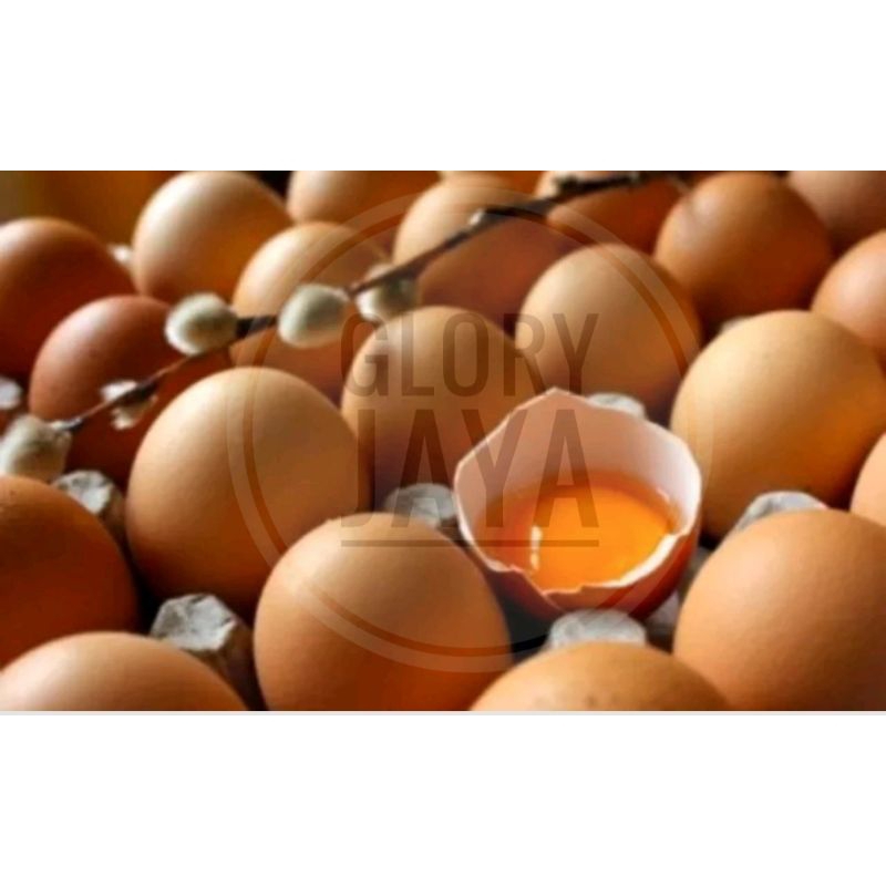 Jual [Big Size] TELUR TELOR AYAM OMEGA ASLI BUKAN SUNTIKAN SELALU FRESH ...