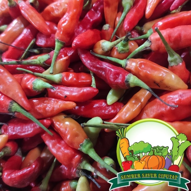 Jual Cabe cabai rawit merah / rawit setan 250 gram - KIRIM INSTAN ...