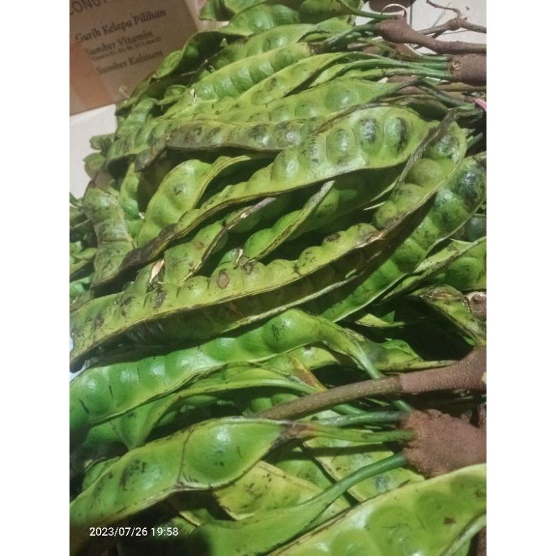 Jual paket pete sortir grade c sekilo | Shopee Indonesia