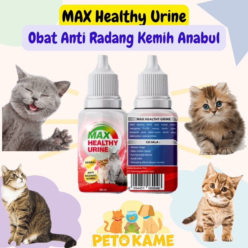 Jual MAX HEALTHY URINE | Obat Radang Kemih dan susah Kencing pipis ...