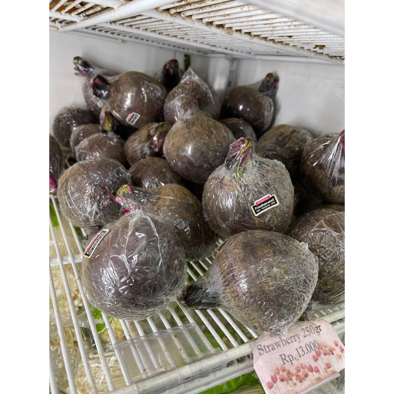 Jual BUAH BEET 1kg | Shopee Indonesia