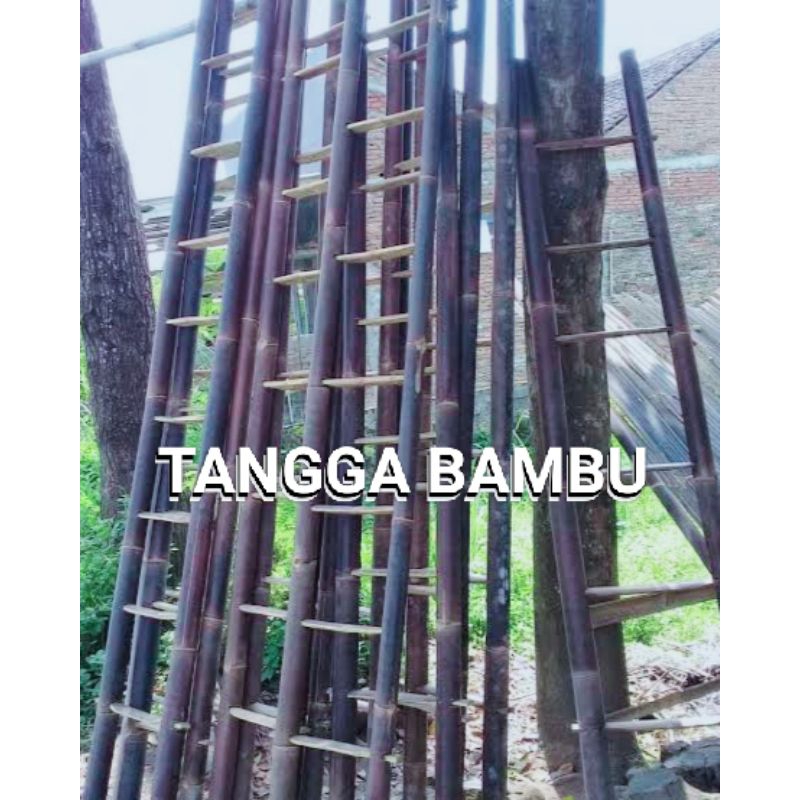 Jual TANGGA BAMBU | TANGGA DARI BAMBU HITAM ASLI Natural 150cm | Shopee ...