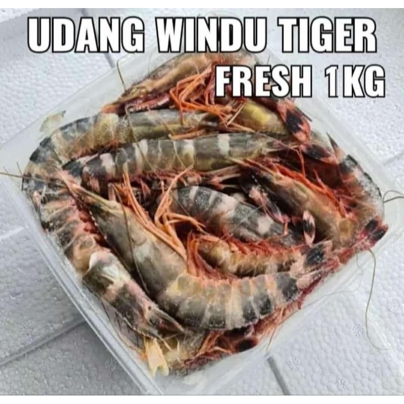 Jual Udang Windu Tiger 1kg | Shopee Indonesia