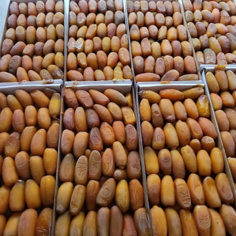 Jual Buah kurma ruthob libya 1kg frozen ternikmat fresh original matang ...