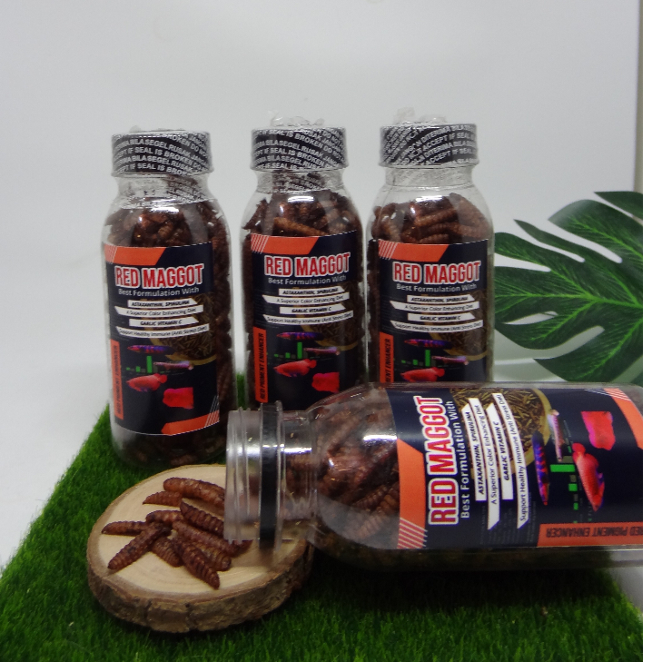 Jual Kemasan botol RED maggot | Shopee Indonesia