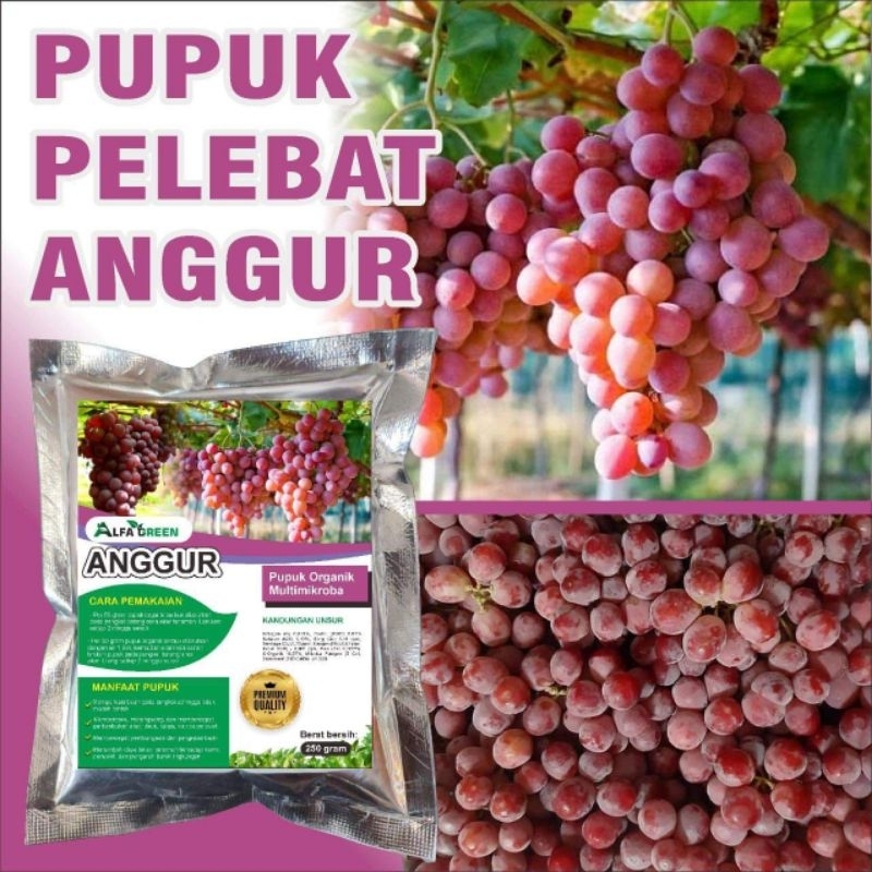 Jual PUPUK ORGANIKPELEBAT BUAH ANGGUR | Shopee Indonesia
