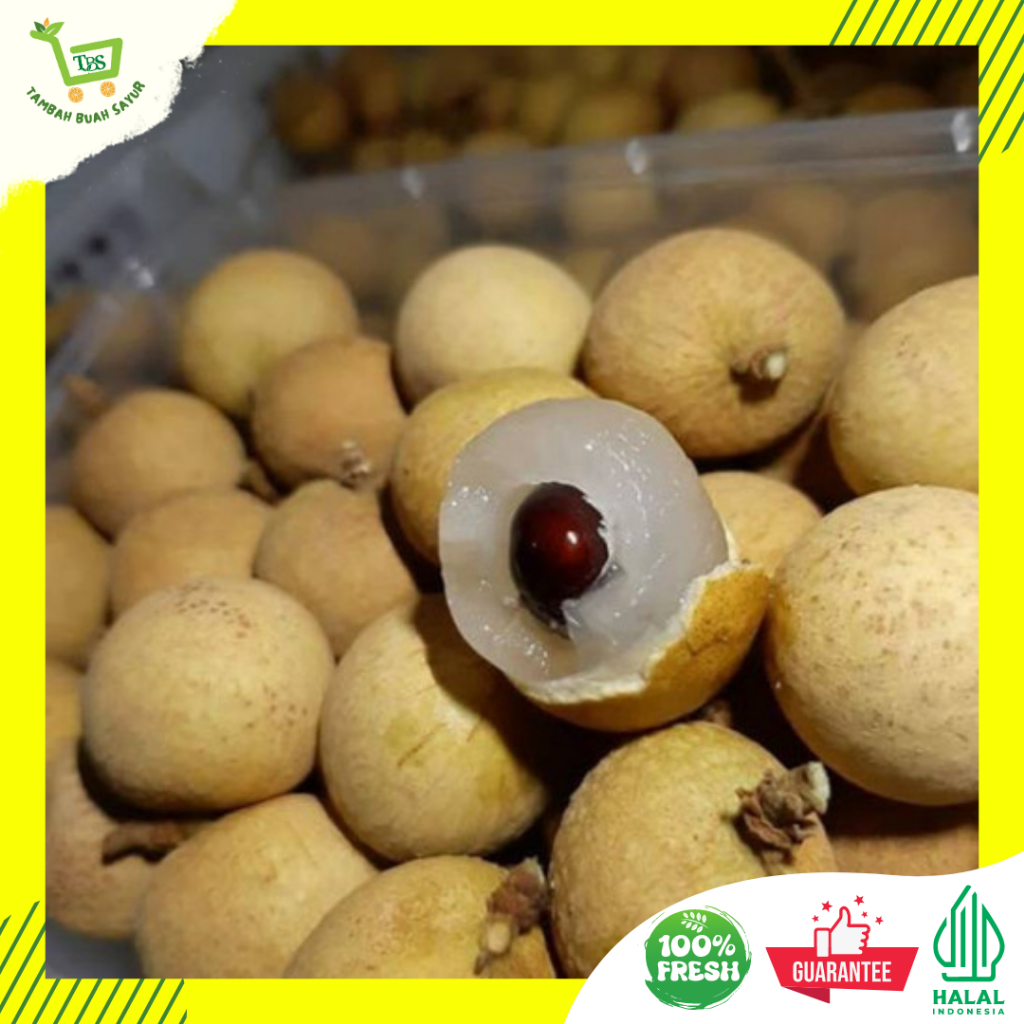 Jual LENGKENG PREMIUM | LENGKENG SUPER (KHUSUS SAMEDAY DAN INSTAN ...