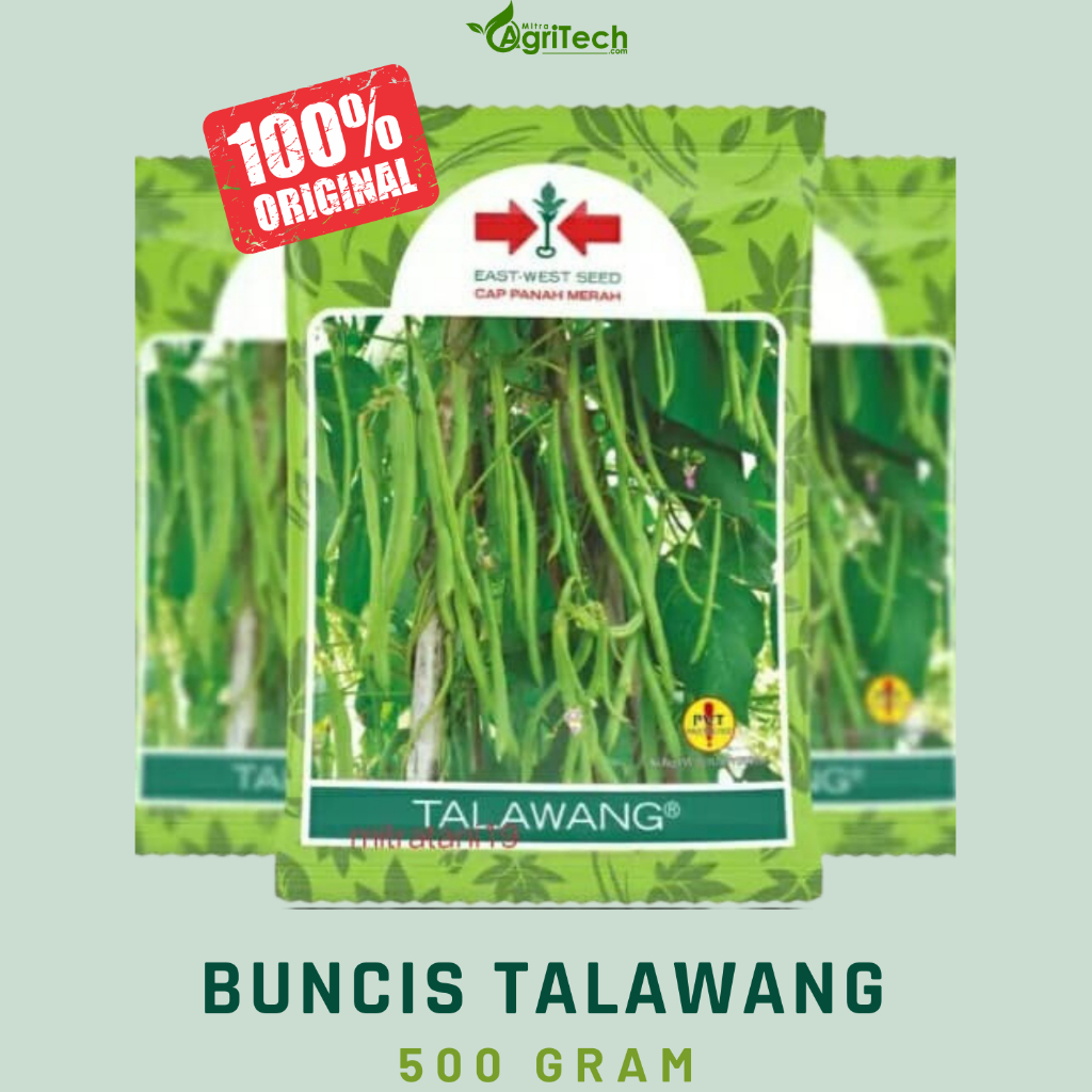 Jual BENIH BIBIT BUNCIS TALAWANG ISI 500 GRAM BIJI HITAM - CAP PANAH ...