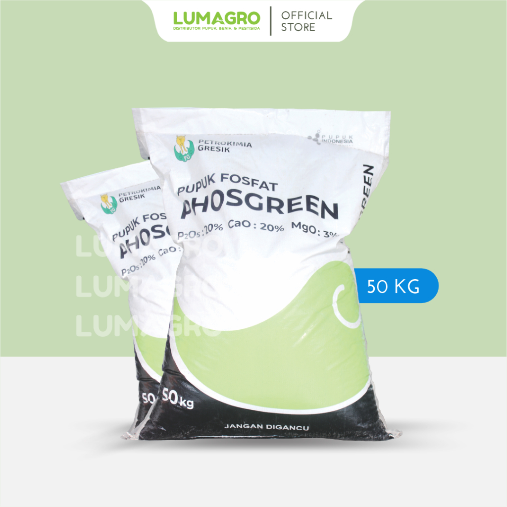 Jual Pupuk Phosgreen 50kg Nutrisi Phospat Mempercepat Pertumbuhan Akar ...