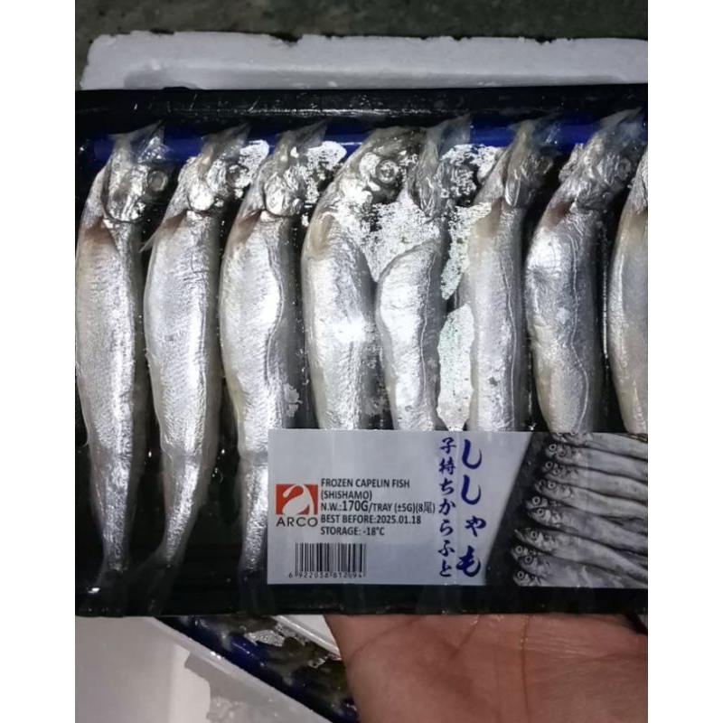 Jual Ikan Shisamo // Ikan Cipung // Ikan Jepang // Ikan Telur Import ...