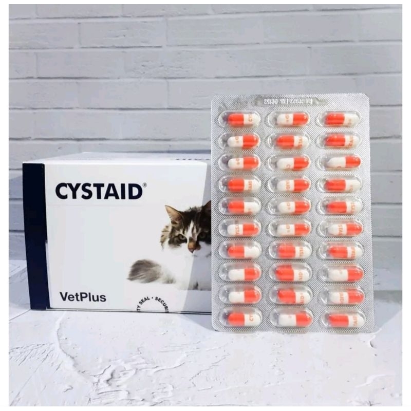 Jual Cystaid cat plus for cat per kapsul ORIGINAL | Shopee Indonesia