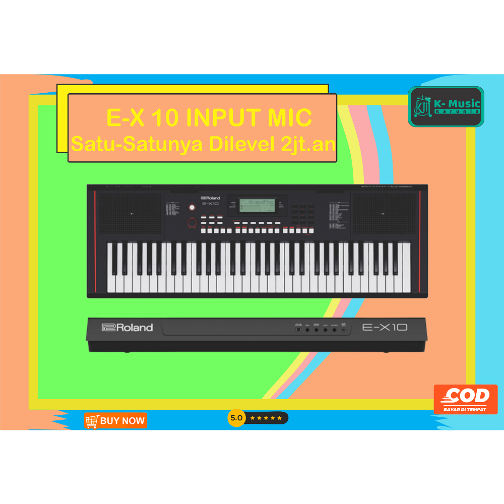 Jual Keyboard Type Arranger Roland EX10 E-X10 EX-10 Input Mic Voice ...