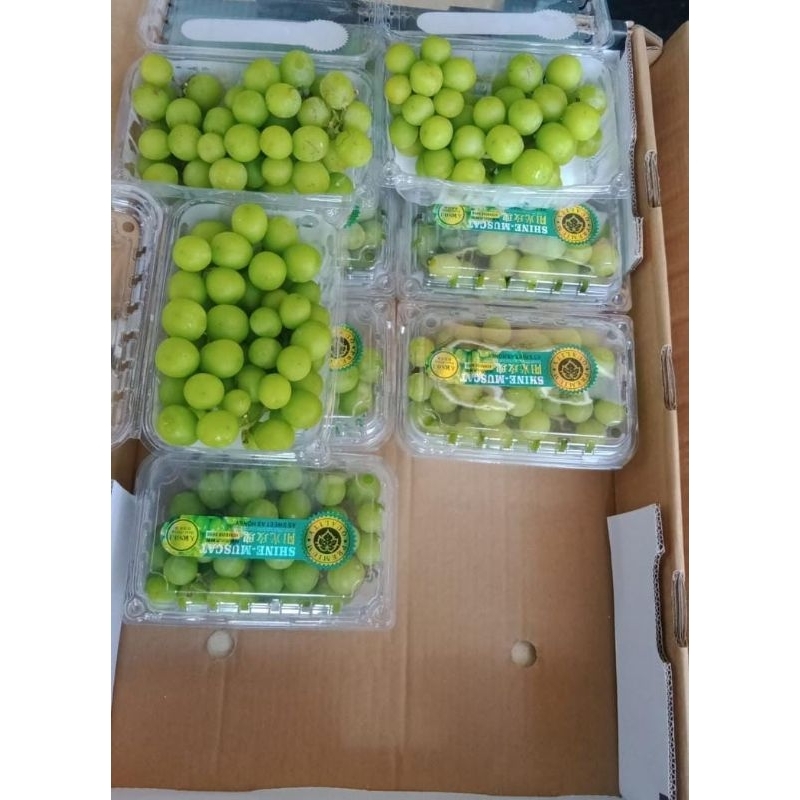 Jual buah anggur shine muscat hijau viral kemasan pack | Shopee Indonesia