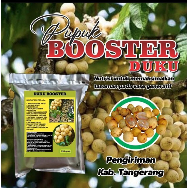 Jual Pupuk Booster Duku perangsang bunga dan pelebat buah anti rontok 250 gram | Shopee Indonesia