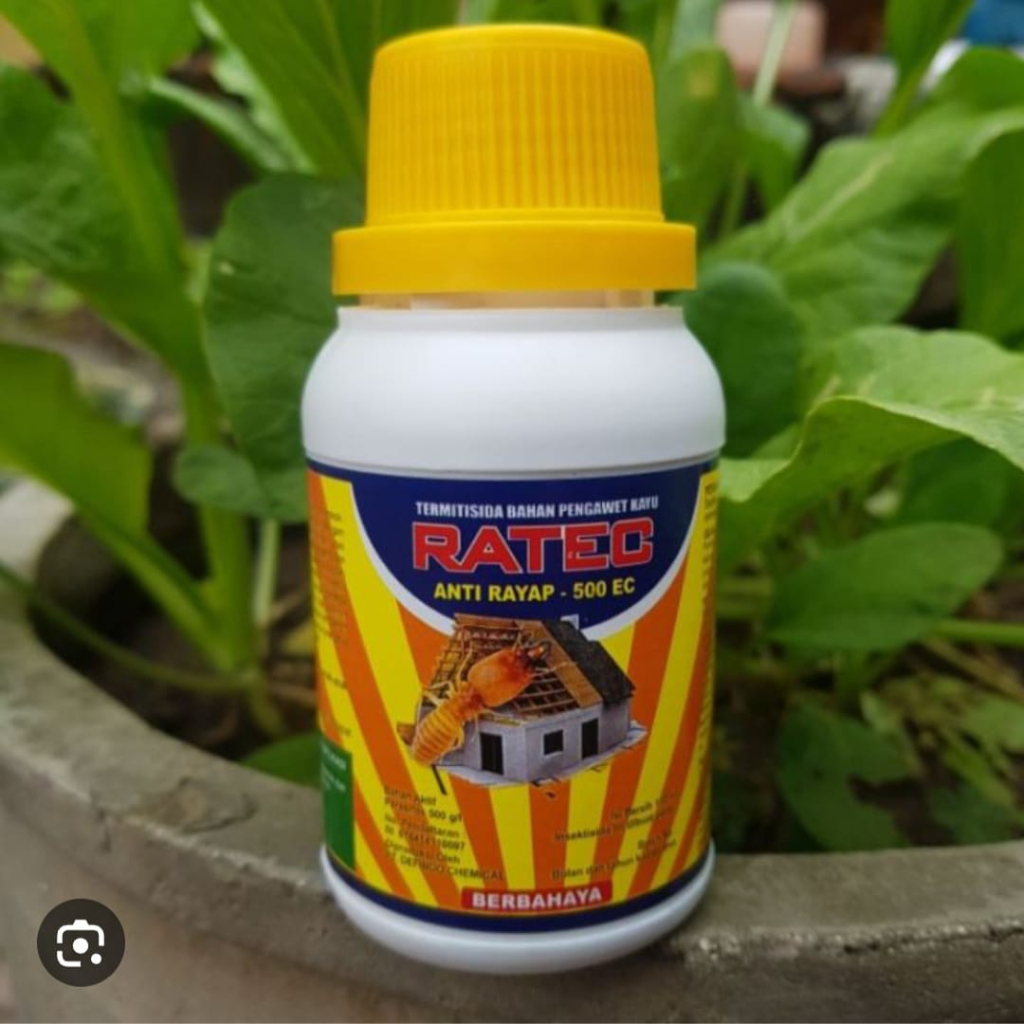 Jual Racun Rayap Ratec 100ml Termisida Bahan Pengawet Kayu Original 100 ...