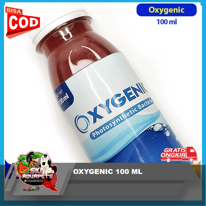 Jual Oxygenic bakteri starter 100ml probiotic kolam aquarium | Shopee ...