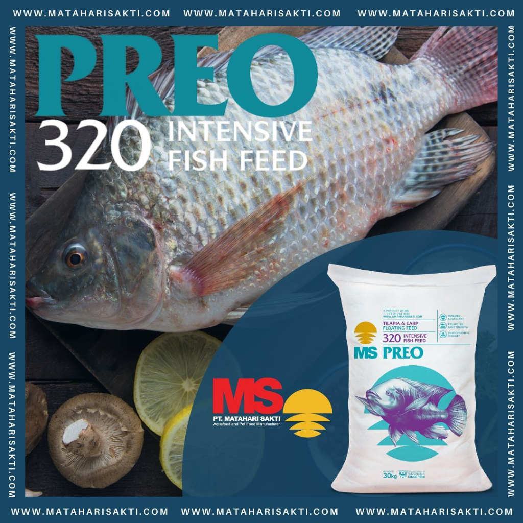 Jual Pakan Pelet Apung Ikan Nila MS PREO 320 15Kg 15 Kg No.1 No.2 No.3 ...
