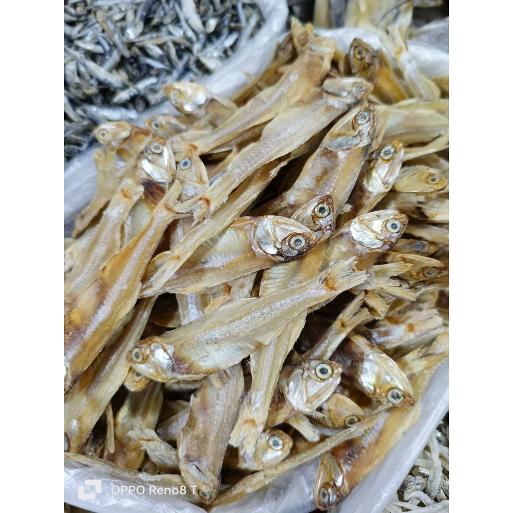 Jual Berbagai Teri 1 Ons Teri Medan Teri Buntio Teri Belang Teri