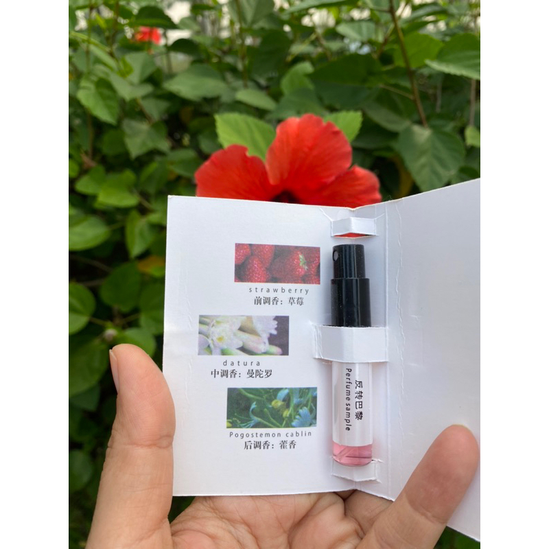 Jual vial parfume/pocket parfume / parfum vial/decan parfume | Shopee ...