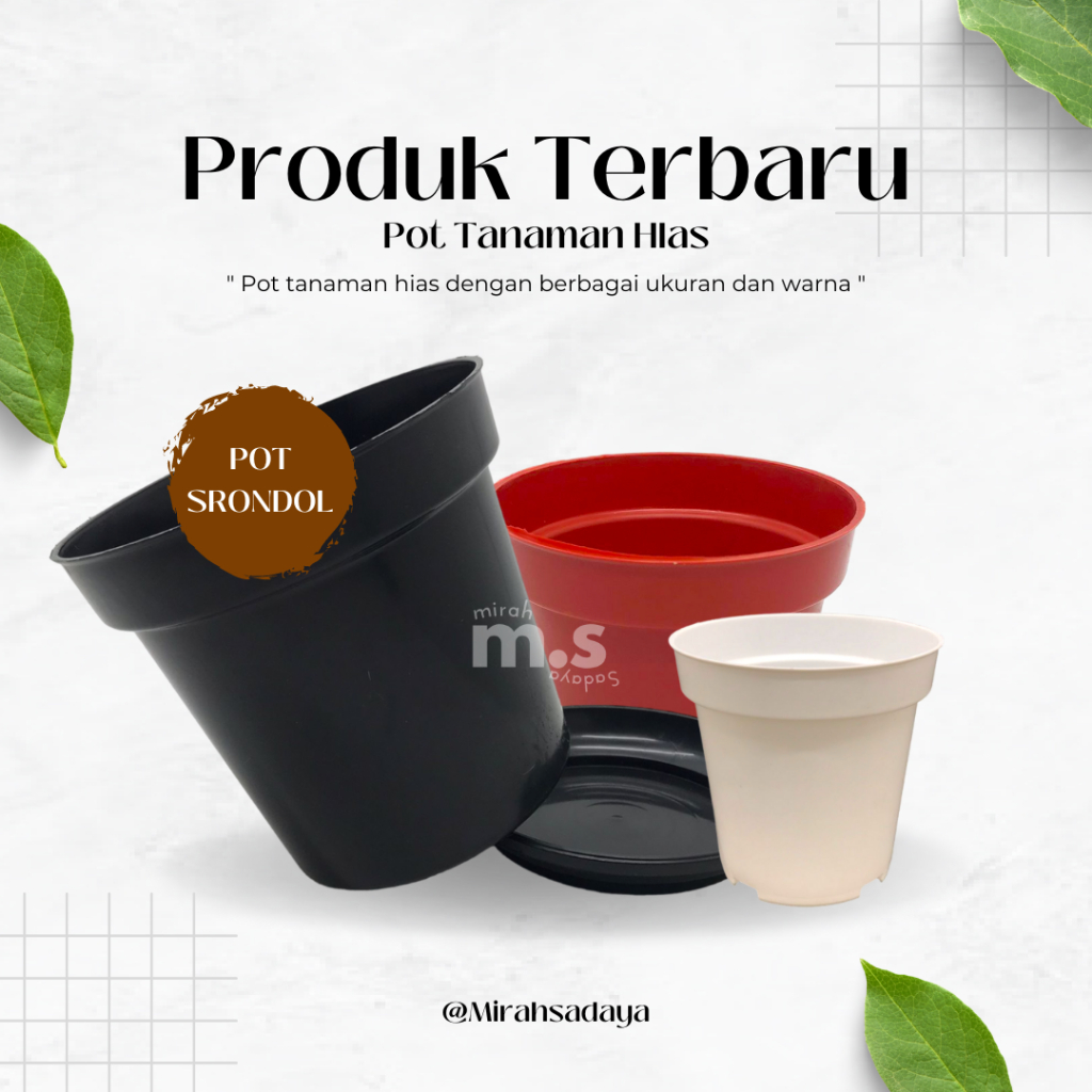 Jual Pot Bunga Tinggi Srondol 10cm12cm15cm 17cm20cm Pot Bunga Plastik Pot Tanaman Shopee