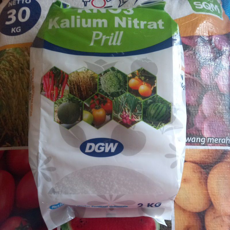Jual PUPUK KALIUM NITRAT PRILL KNO3 PUTIH 2KG NUTRISI TANAMAN | Shopee ...