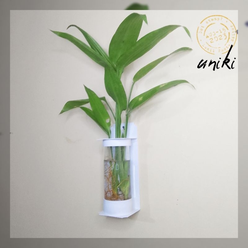 Jual Pot Bunga Tempel Dinding Tabung Kaca Panjang | Shopee Indonesia