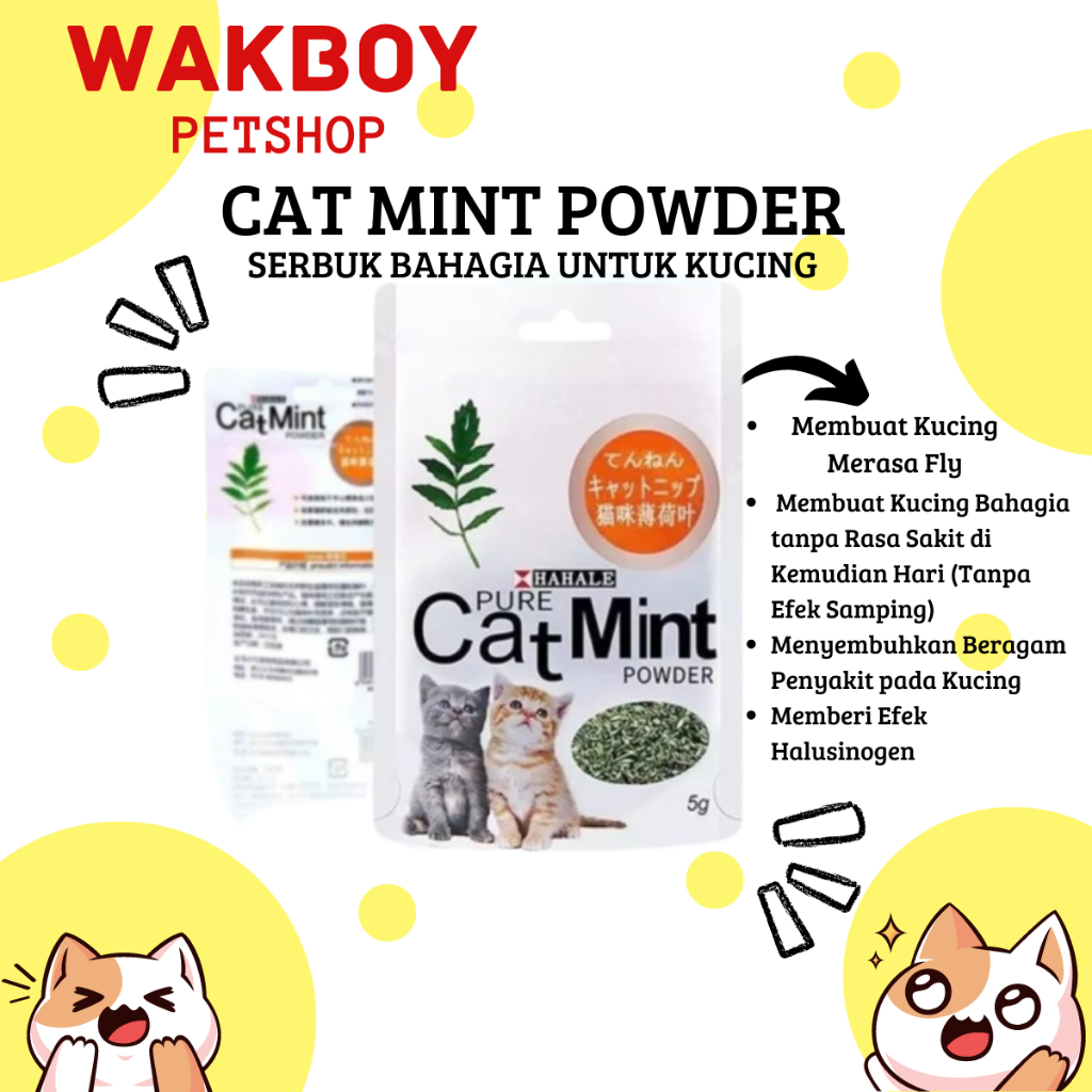 Jual Catnip catmint cat mint - PURE CATMINT POWDER - BIKIN FLY KUCING ...