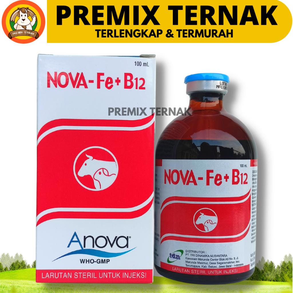 Jual NOVA Fe B12 100ml - Like Ferdex Plus - Vitamin B12 dan Zat besi ...