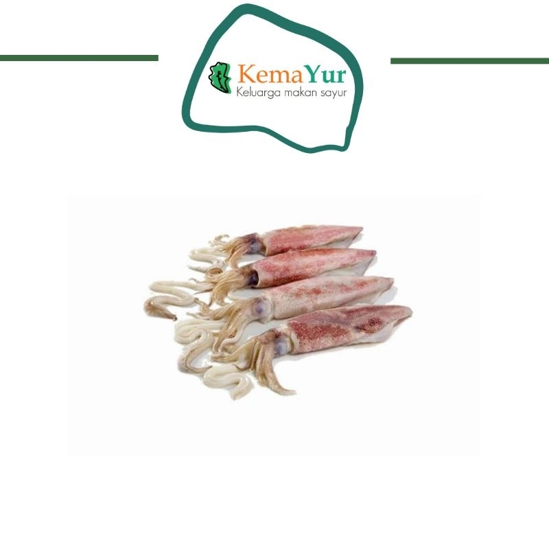 Jual CUMI FRESH 250 GR | Shopee Indonesia