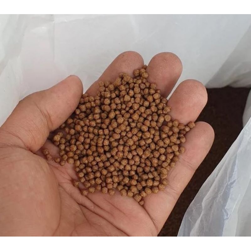 Jual Pelet Apung 500gr Pakan Ikan Nila Mas Lele Gurame 3mm | Shopee ...