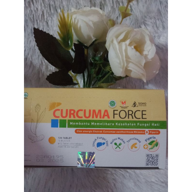 Jual CURCUMA FORCE 1 BLISTER (12 TABLET) | Shopee Indonesia