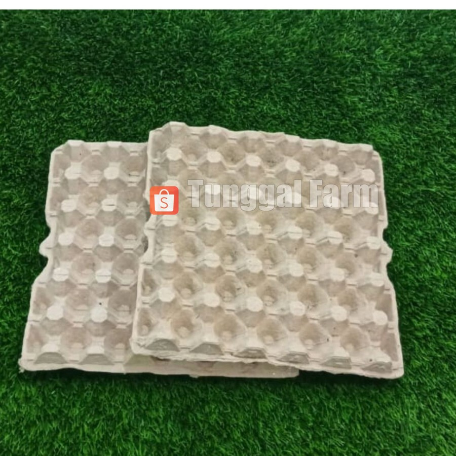 Jual EGG TRAY KERTAS 1 BALL / TEMPAT TELUR / WADAH TELUR/ EGG TRAY ...