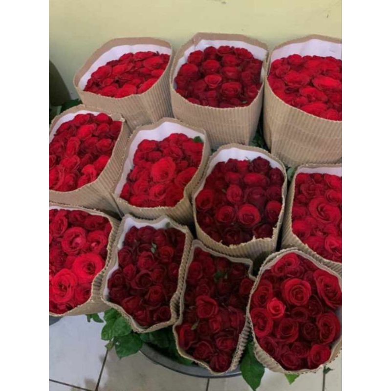Jual bunga Mawar Fresh Grade A (fresh flower) | Shopee Indonesia