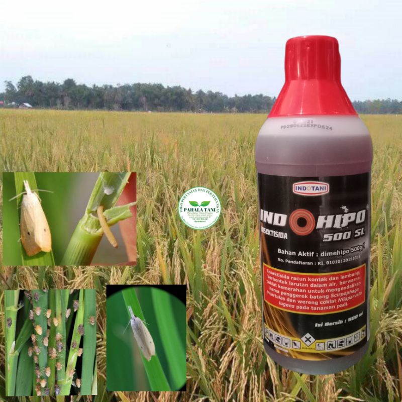 Jual INDOHIPO 500 SL/dimehipo 500g/l /hama penggerek batang/hama wereng ...