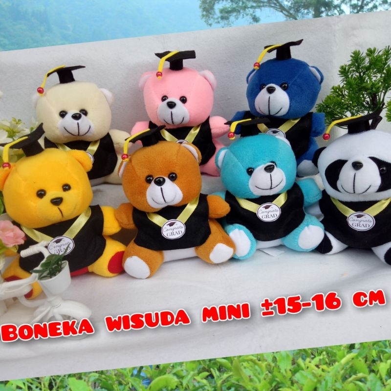 Jual BONEKA WISUDA MINI ±15-16 CM /BONEKA BERUANG, PANDA, WINNIE THE ...