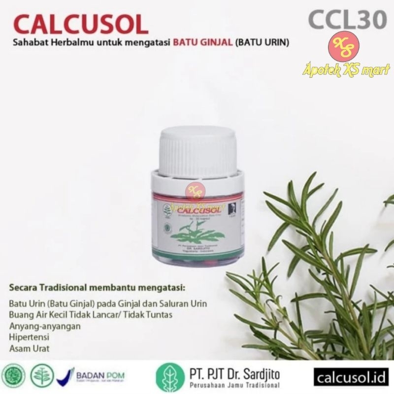 Jual CALCUSOL 30 KAPSUL BATU GINJAL ASAM URAT TEKANAN SAKIT PINGGANG | Shopee Indonesia