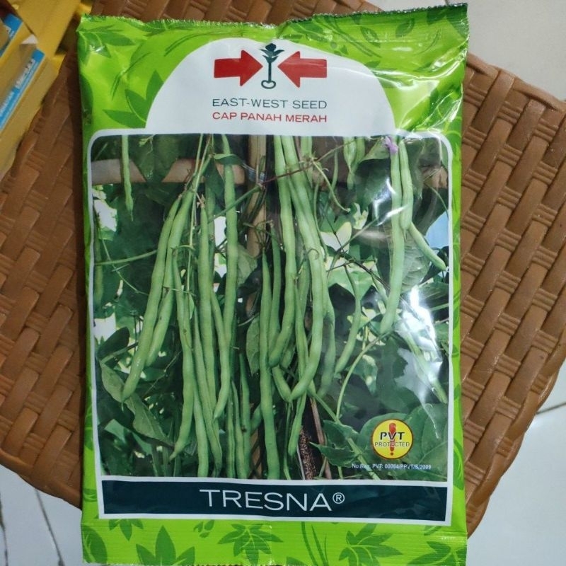 Jual Benih Buncis TRESNA (500 GRAM) | CAP-PANAH MERAH | ORIGINAL 100% ...