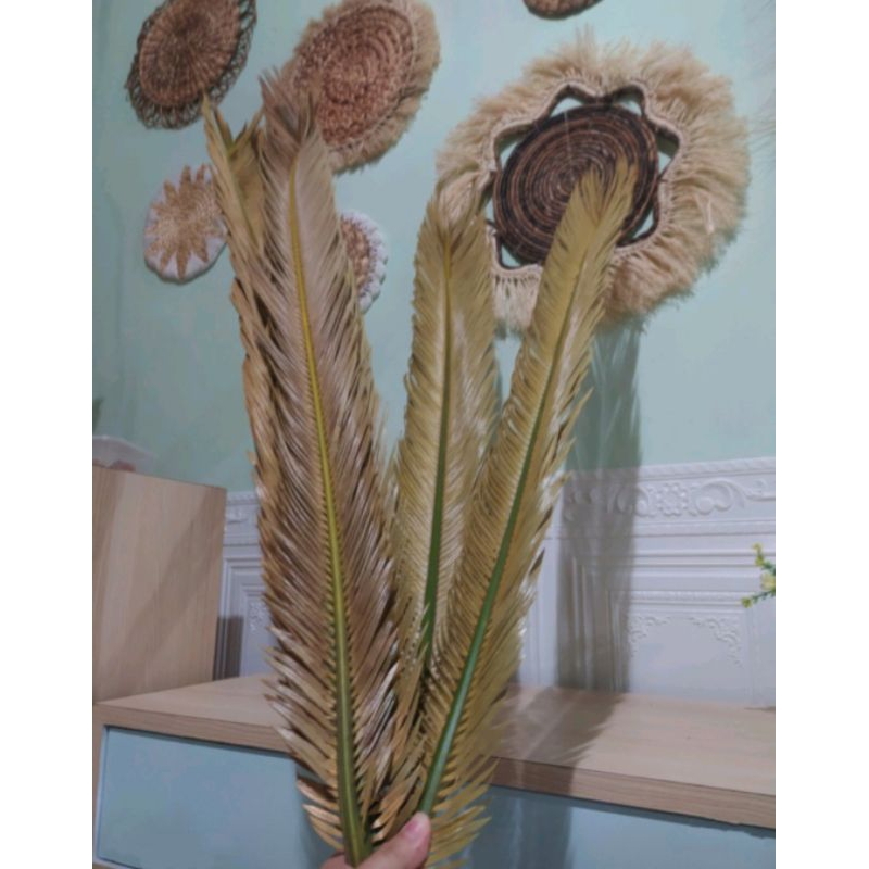 Jual Sikas/mawar Jambe / bunga kering | Shopee Indonesia