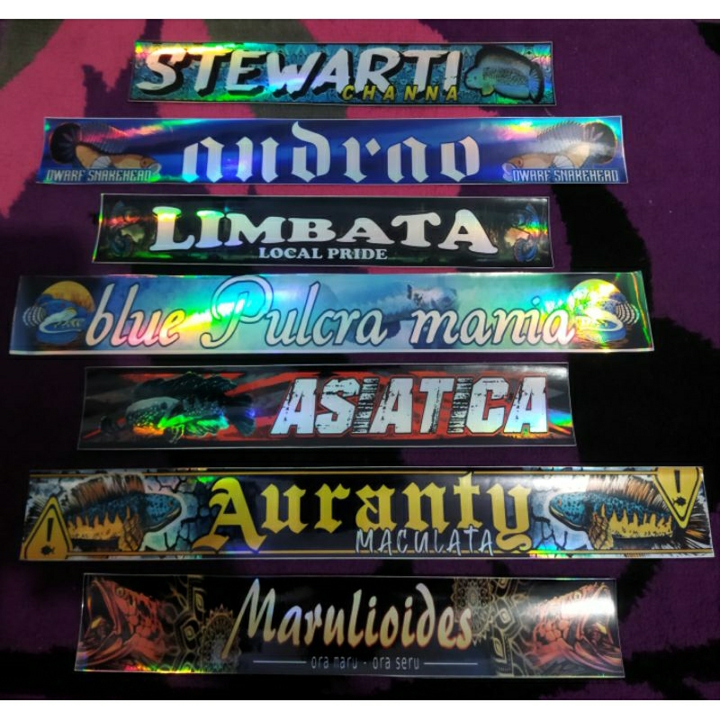 Jual stiker aquarium hologram rainbow ikan channa | Shopee Indonesia