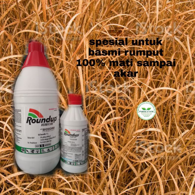 Jual Roundup/herbisida rumput/roundap/obat rumput liar/obat rumput mati ...