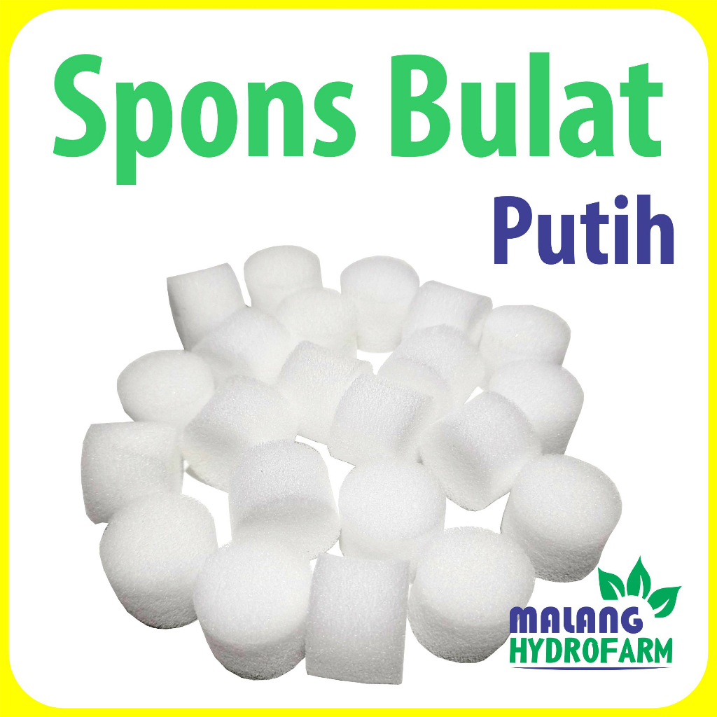 Jual Media Tanam Spons Bulat 2,5 x 2 cm silinder putih siap pakai merek ...