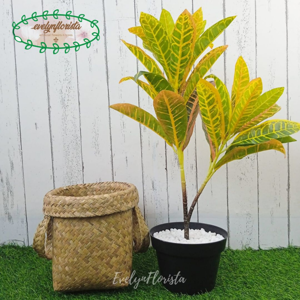 Jual Pohon Daun Puring Worten X2 T50 Semi Latex Artificial Pot Dasar ...