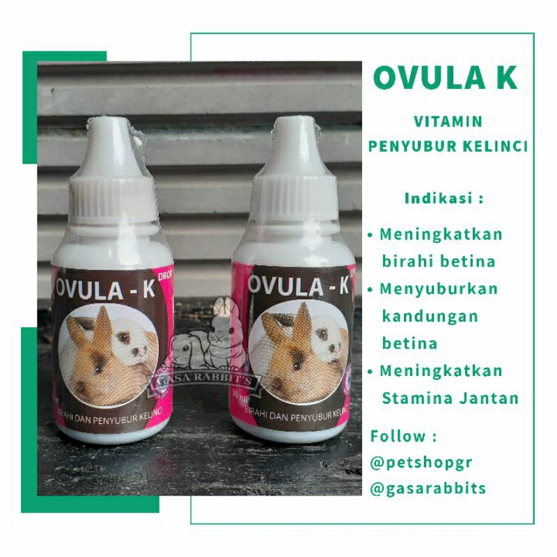 Jual OVULA K - VITAMIN KELINCI OVULA K - OBAT KELINCI OVULA K | Shopee ...