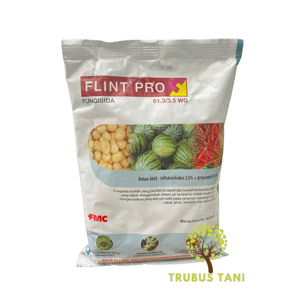 Jual FLINT PRO 61.3/3.5WG 500GR FUNGISIDA (spelialis busuk daun dan busuk batang) | Shopee Indonesia