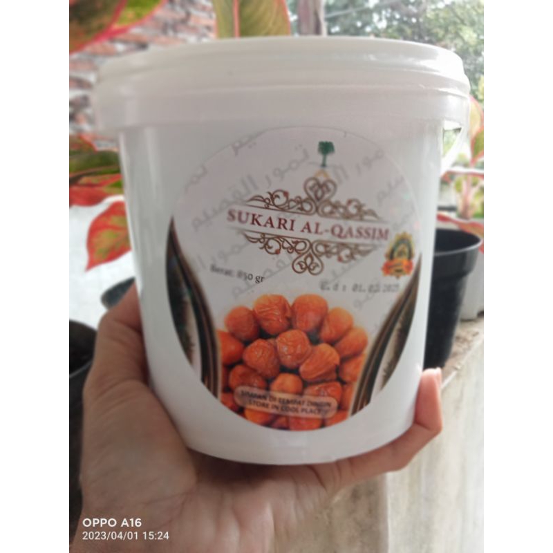 Jual Kurma Sukari kemasan ember 850 g | Shopee Indonesia