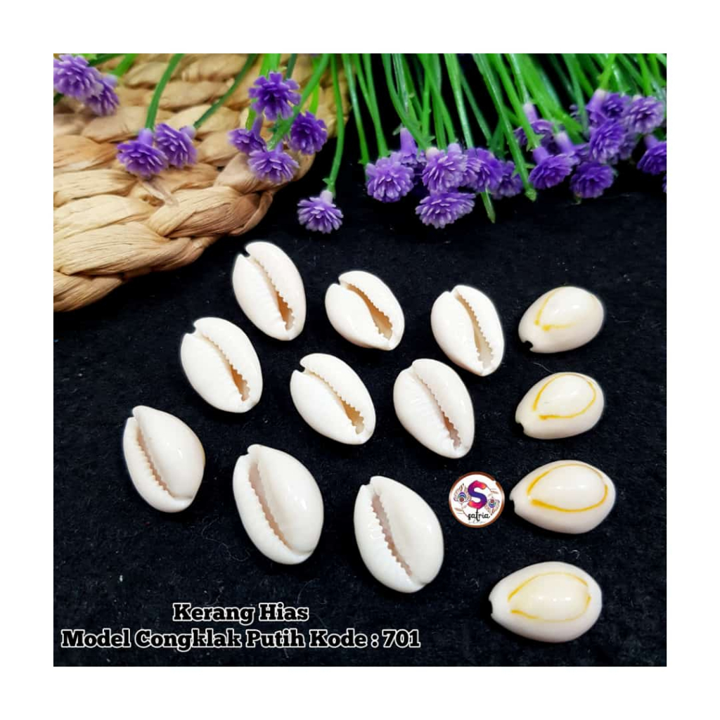 Jual kerang kerangan/kerang mainan/kerang hiasan/kerang kerajinan/per ...